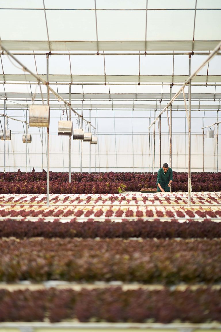 Terra Aqua - Al Ghalia