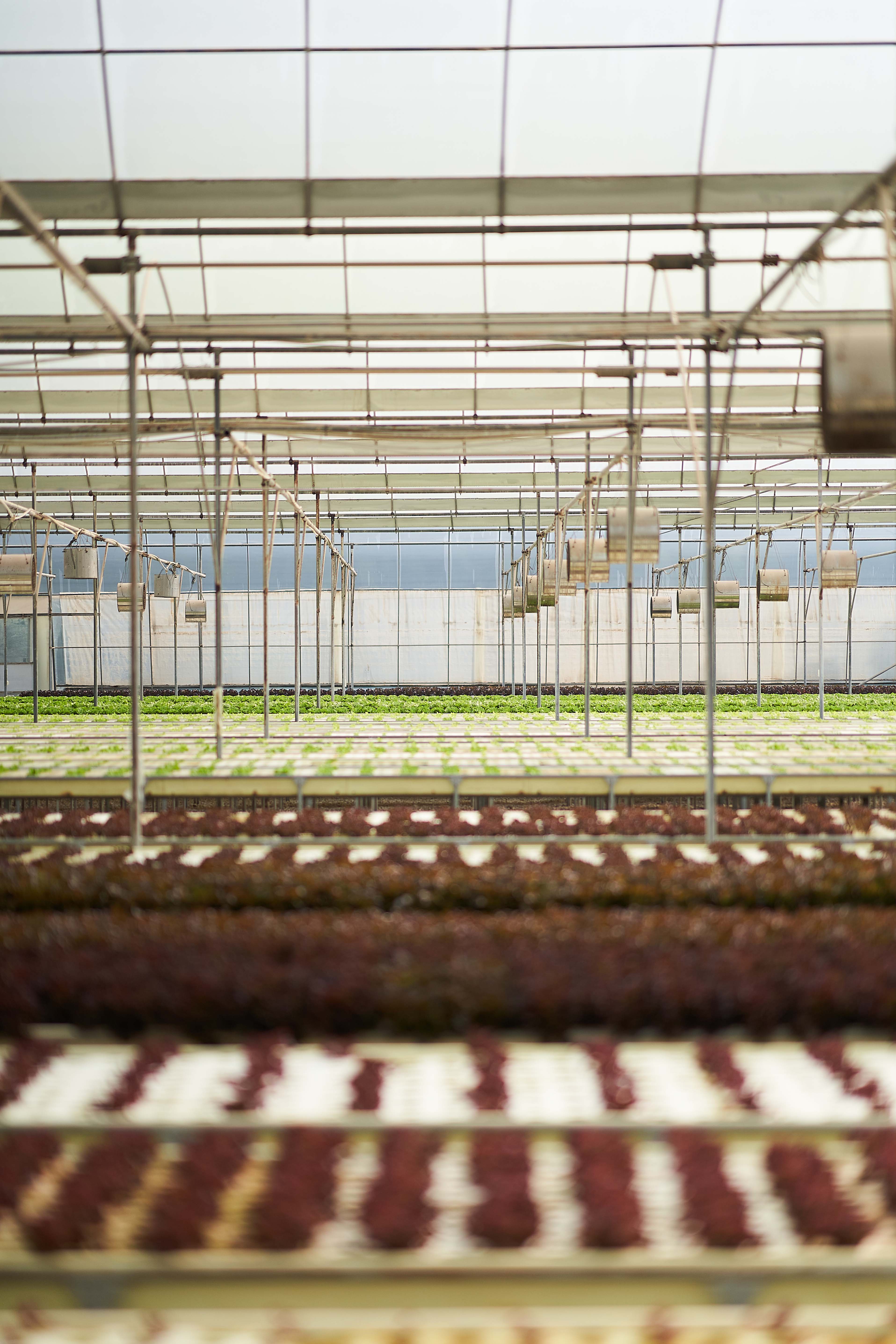 Al Ghalia | Hospitality and Lifestyle in Bahrain