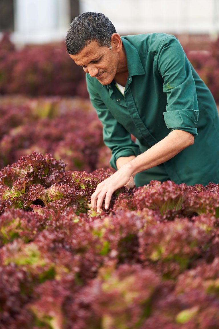 Terra Aqua - Al Ghalia
