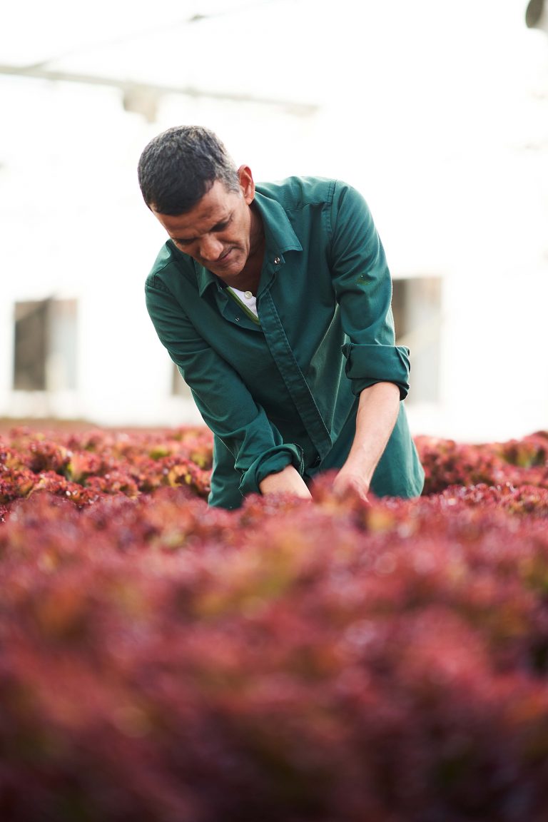 Terra Aqua - Al Ghalia